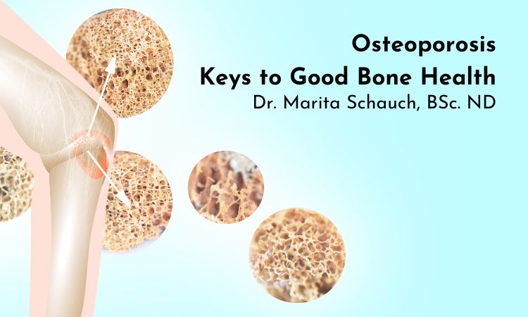 World Osteoporosis Day - Keys to Good Bone Health – Lifestyle Markets