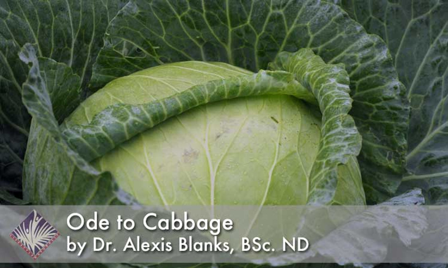 Ode to Cabbage – Lifestyle Markets